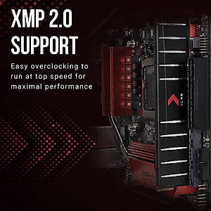 PNY XLR8 Gaming 32GB (2x16GB) DDR4 DRAM 3600MHz (PC4-28800) CL18 1.35V Low Profile Dual Channel Desktop (DIMM) Memory Kit – MD32GK2D4360018LP