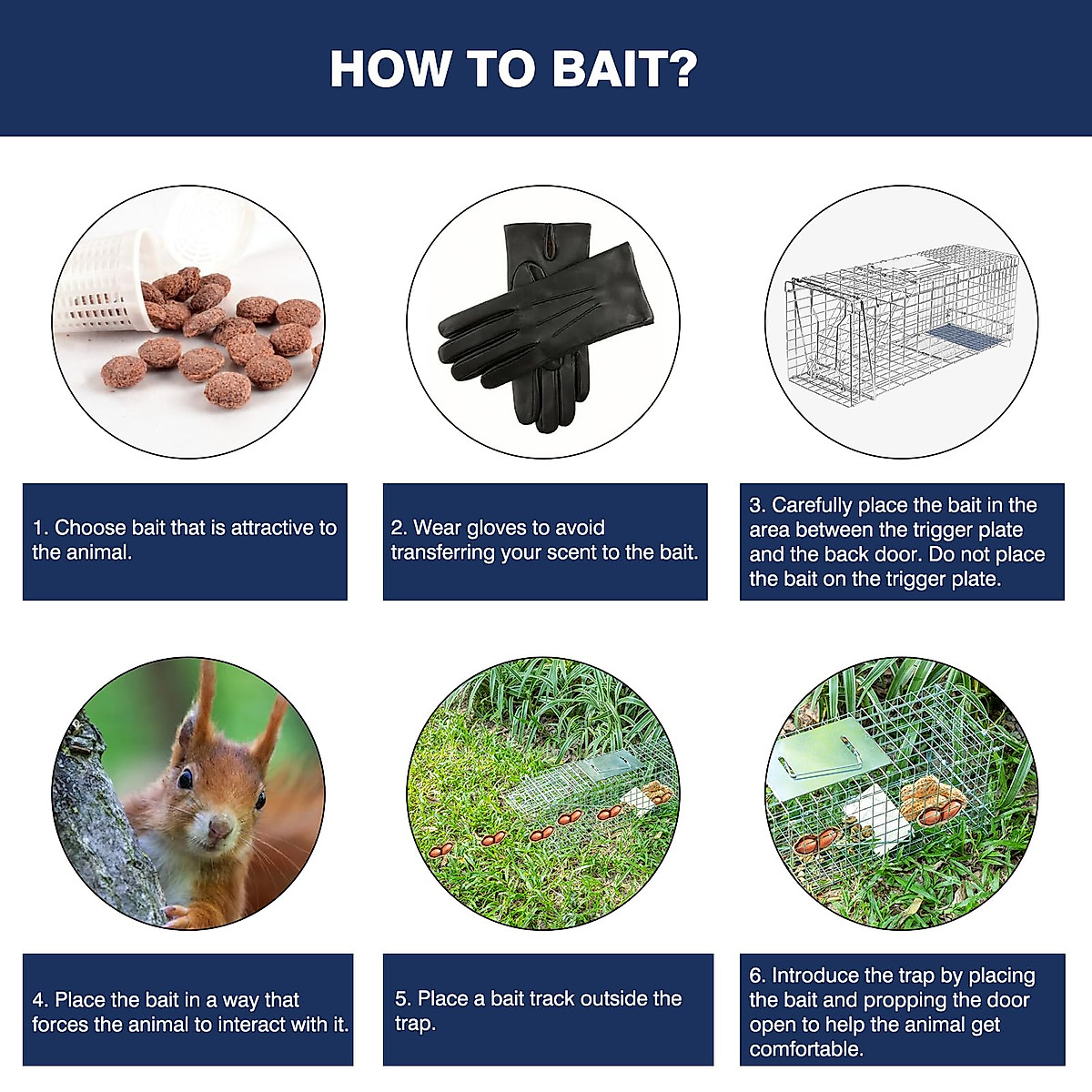 Animal Trap Cage, 24 Inch Live Traps for Raccoons Heavy Duty, Cat Trap for Stray Cats, Squirrels, Raccoon, Rabbits, Possum, Skunk, Outdoor Small Animal Trap, Humane Catch & Release, Foldable