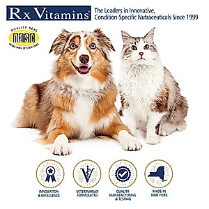 Rx Vitamins Amino B Plex for Pets - B Vitamin Complex Plus Amino Acids for Dogs & Cats - Vitamin Supplements for Dogs' & Cats' Total Body Support - 4 oz