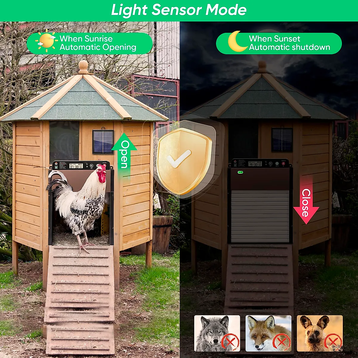 Automatic Chicken Coop Door - Solar Chicken Door with Timer, Light Sensor, Anti-Trap, Remote Control, Full Aluminum and Weatherproof, Anti-Pinch Design for Chickens Ducks Farms