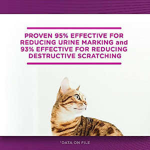 Comfort Zone Basic Calming Diffuser Kit for Cat Calming