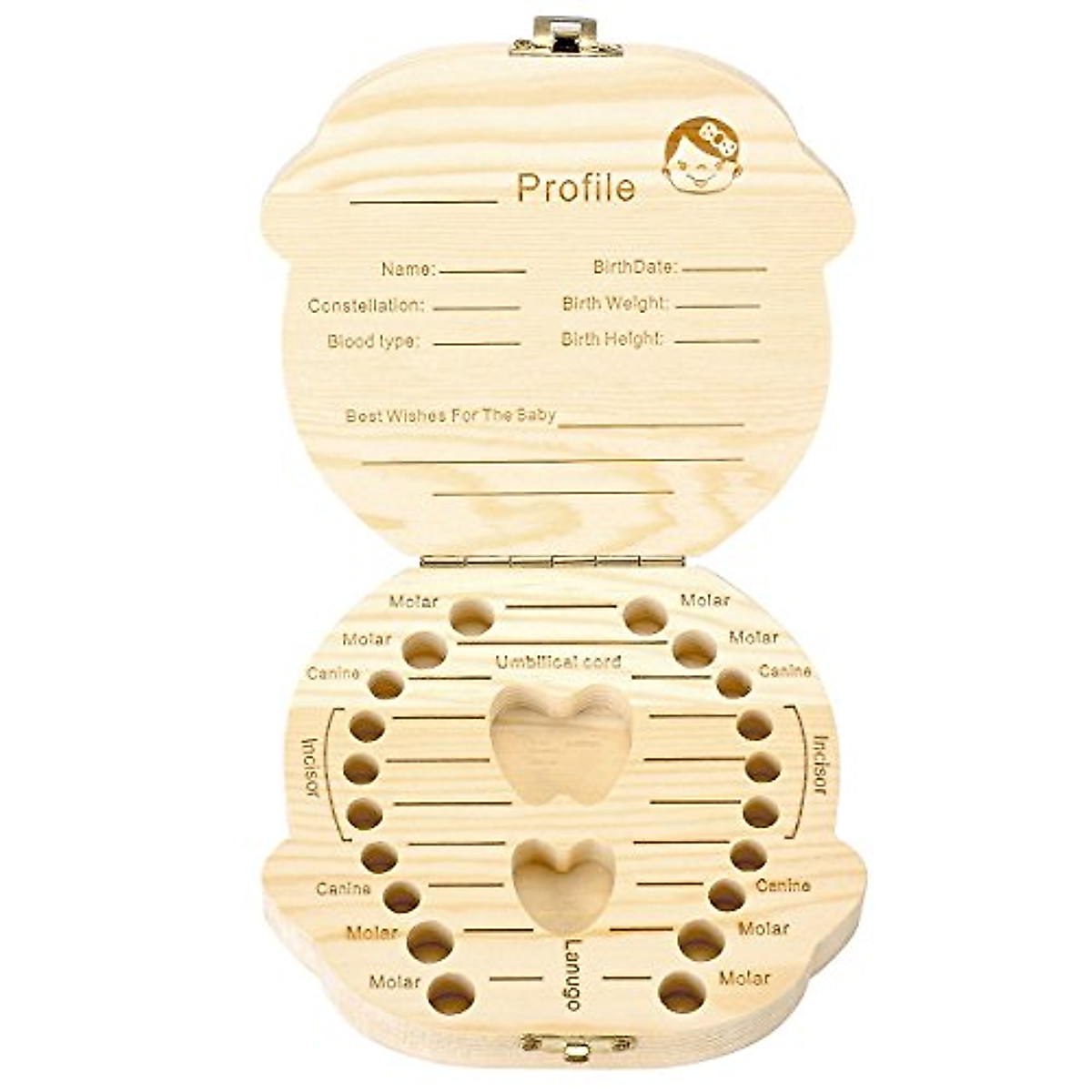 Mogoko Baby Teeth Keepsake Box Wooden Tooth Fairy Boxes, Child Kids Tooth Storage Holder Organizer(Girl, English; Customized Personalized Optional)