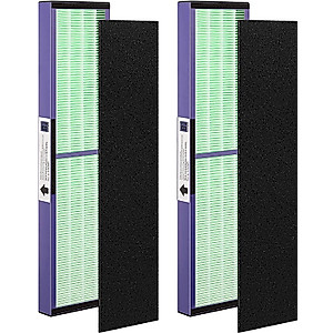 2 Pack FLT4825 True HEPA Filter B Replacement Compatible with Germ Guardian AC4825 AC4850PT