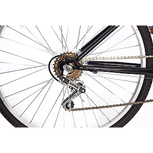 Titan Wildcat Ladies Mountain Bike (Purple/Black, 26-inch)