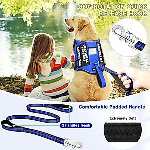MOOGROU Service Dog Vest Harness and Leash Set+10 Patches,No Pull&Easy Walk Reflective Dog Harness with Soft Padded Handle for Training/Everyday,Fit Small/Medium/Large/Extra-Large Dogs (Blue M)