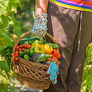 8-8-8 Triple Play Tomato & Vegetable Plant Food, Covers 250 sq. ft.