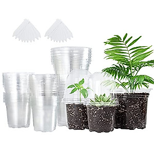 Bonviee 36 Packs 3.5/4/5 Inch Clear Nursery Pots with Humidity Domes, Variety Sizes Seed Starting Pots with Drainage Holes, Transparent Garden Containers for Succulents, Flowers and Cactus-Clear