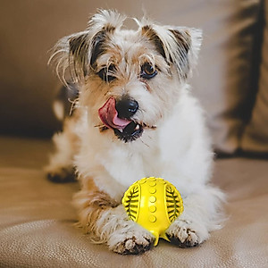 POPETPOP Teething Toys Teething Toys Teething Toy Dog Toothbrush Chew Toy Sound Chewers Toy Molar Toy Care Teeth Cleaning for Medium Large Dogs Teething Toys Teething Toy Chew Toys