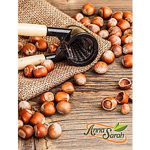 Anna and Sarah Large Oregon Hazelnuts in Shell, 5 Lbs