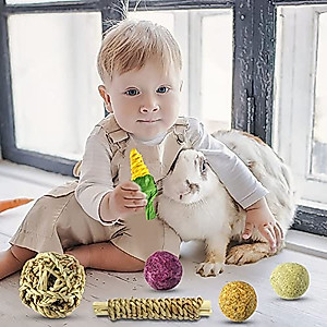 PD Bunny Chew Toys for Teeth, Natural Timothy Grass Small Animal Chew Toys, Mixed Grass and Molar Grass Cake and 2 Balls for Rabbits Chinchilla Hamsters Guinea Pigs Gerbils Groundhog Squirrels（14 pcs）