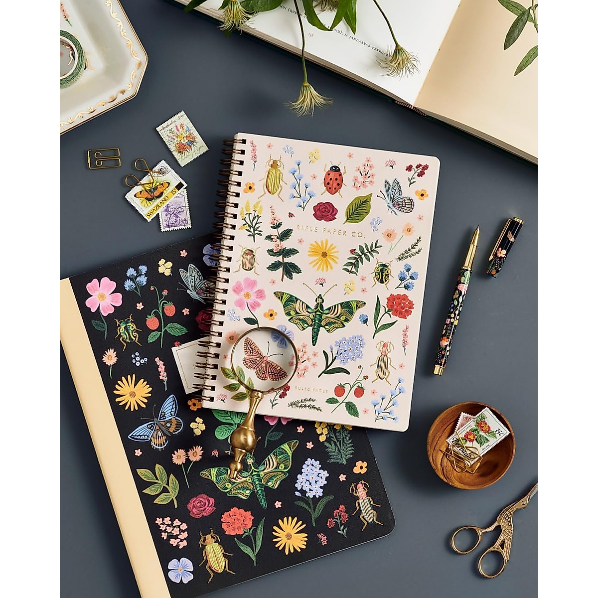 RIFLE PAPER CO. Spiral Notebook | 150 Ruled Pages, Inner Storage Pocket Folders, Double-Spiral Binding, Metallic Gold Foil Accents (8.25" L x 6.25" W), Curio