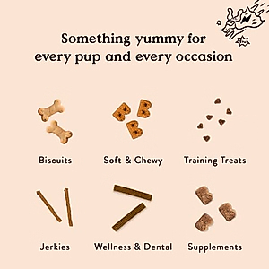 Bocce's Bakery Oven Baked PB & Banana Recipe Treats for Dogs, Wheat-Free Dog Treats, Made with Real Ingredients, Baked in The USA, All-Natural Peanut Butter & Banana Biscuits, 14 oz