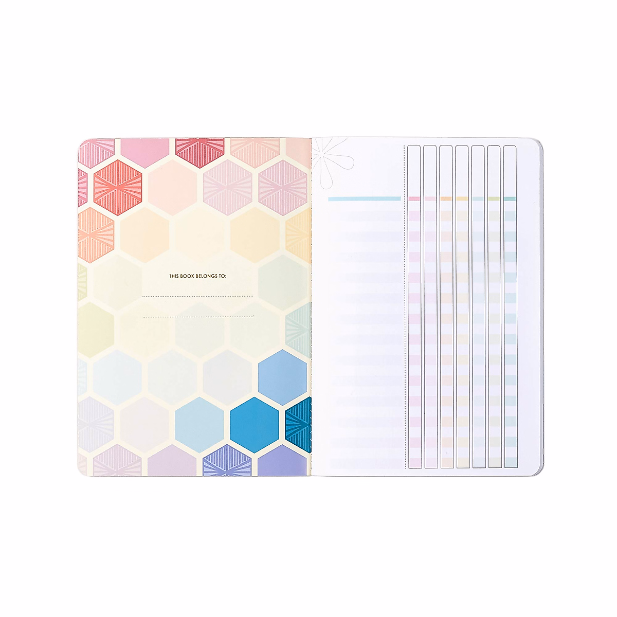Erin Condren Designer Petite Journal Checklists - Multicolored Hexagon Design Theme. Great for Tracking Daily and Weekly Lists with Blank Customizable Fields