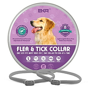 BKRMART Flea and Tick Collar for Dogs, 8 Months Protection Natural Dog Flea Collar and Tick Treatment, One Size Fits All Dogs Flea & Tick Prevention Collar 2 Pack