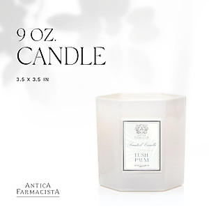 Antica Farmacista Scented Candle, Lush Palm, 9 Ounce