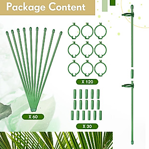 meekoo 60 Pcs Adjustable Garden Plant Support Stakes Single Stem Plant Cage Support Rings with Clips and Connect Pipe for Orchid Rose Tomato, 12 Inch (Green)