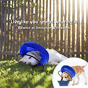 Zeaxuie Soft Inflatable Dog Cone Collar for Dogs After Surgery with Enhanced Anti-Licking for Unrestricted in Daily Life, Pack of One, Blue (Size 2)