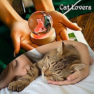 Cat Lover Gifts for Women 3D Cat Figurines in Crystal Ball 60mm Decor Cat Collectibles Snow Globes Gift Glass Sphere Home Decor with Wooden Light Base
