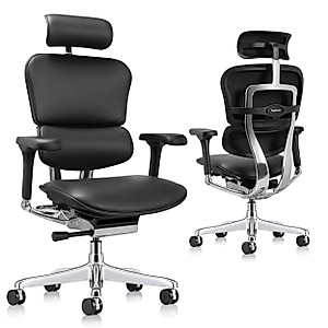Ergohuman Eurotech LE9ERG Executive High Back Leather Swivel Chair - Office Chair with Tilt Tension Control, Tilt Lock, Back Angle & Height, Synchro Tilt, Seat Height & Depth, & Arm Height Adjustments
