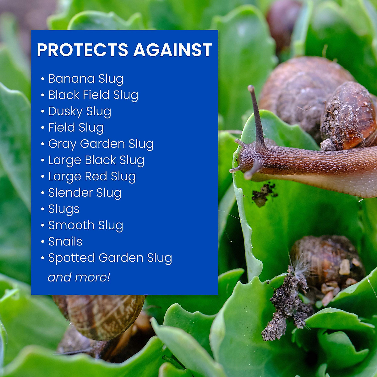 Natria 706190A Snail and Slug Killer Bait Granules, 1.5 lb