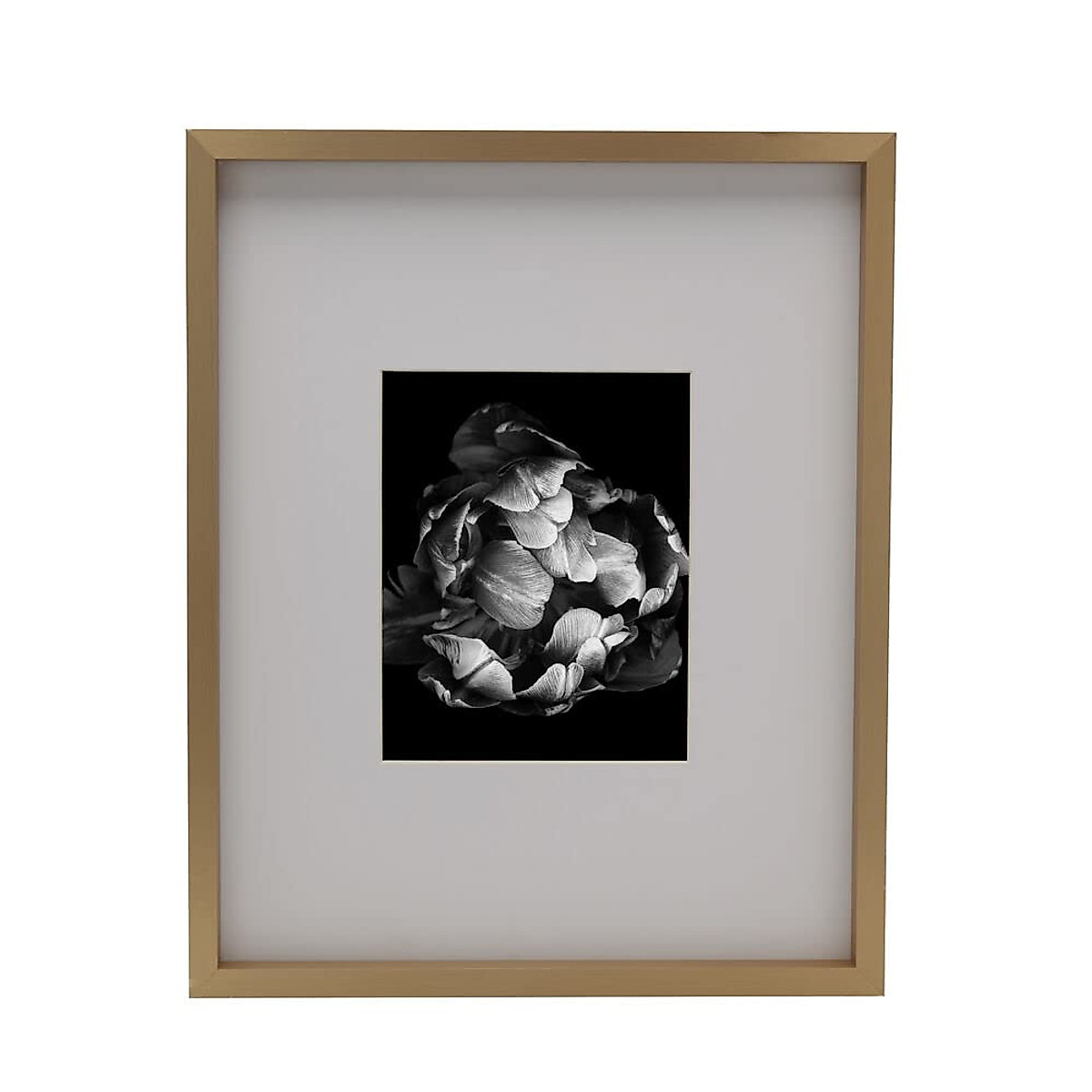 Mikasa Gallery Frame-16.93 x 21.06 in. Photo without Mat, 7.5 x 9.5 in. Photo with Mat, 2 mm Beveled Mat, Vertical or Horizontal Display, 17x21 Inch, Champagne