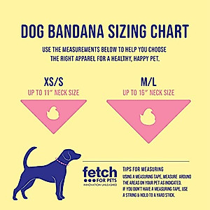 Peeps for Pets Chick Rainbow Print Dog Bandana, Medium/Large | Large Dog Bandana Officially Licensed Pet Product | Cute, Soft, Machine Washable Dog Apparel & Accessories for All Dogs