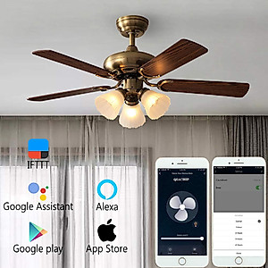 Ceiling Fan Remote Control Kit, WI-FI Smart Fan Control Timing Wireless Control with Amazon Alexa