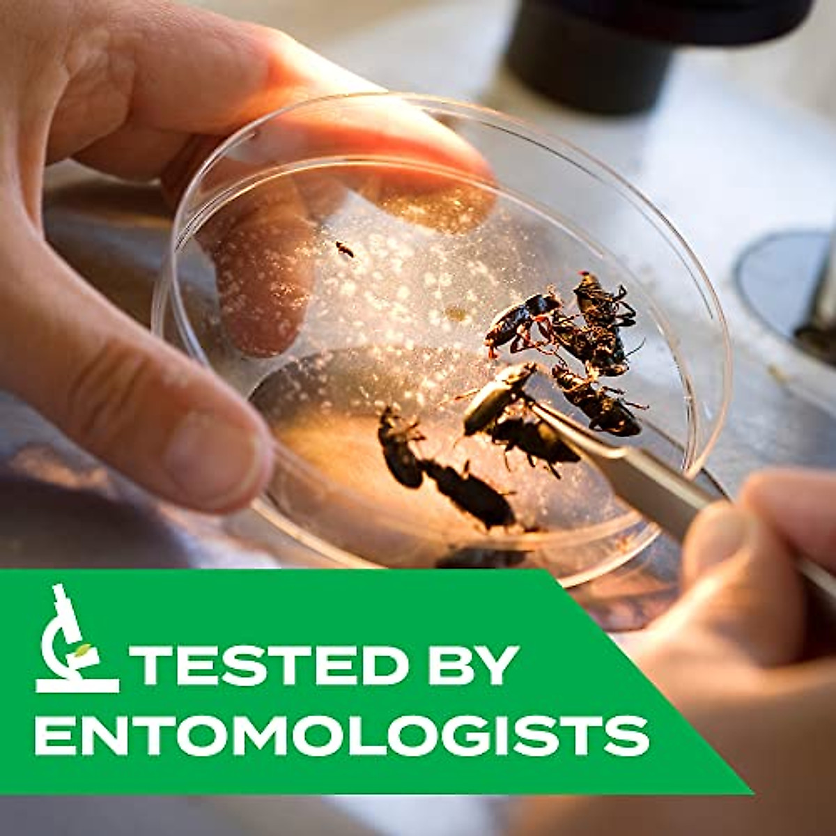 Stem Kills Ants, Roaches And Spiders: Plant-Based Active Ingredient Bug Spray, Botanical Insecticide For Indoor And Outdoor Use; 10 fl oz (Pack Of 3)