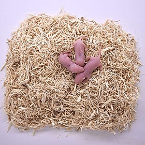 MiceDirect Frozen Mice Combo Pack of 80 Pinkies & Small Fuzzies Feeder Mice – 40 Pinkies & 40 Small Fuzzies - Food for Corn Snakes, Ball Pythons, & Pet Reptiles - Snake Feed Supplies