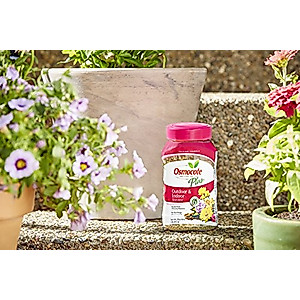 Osmocote Smart-Release Plant Food Plus Outdoor & Indoor, 1 lb.