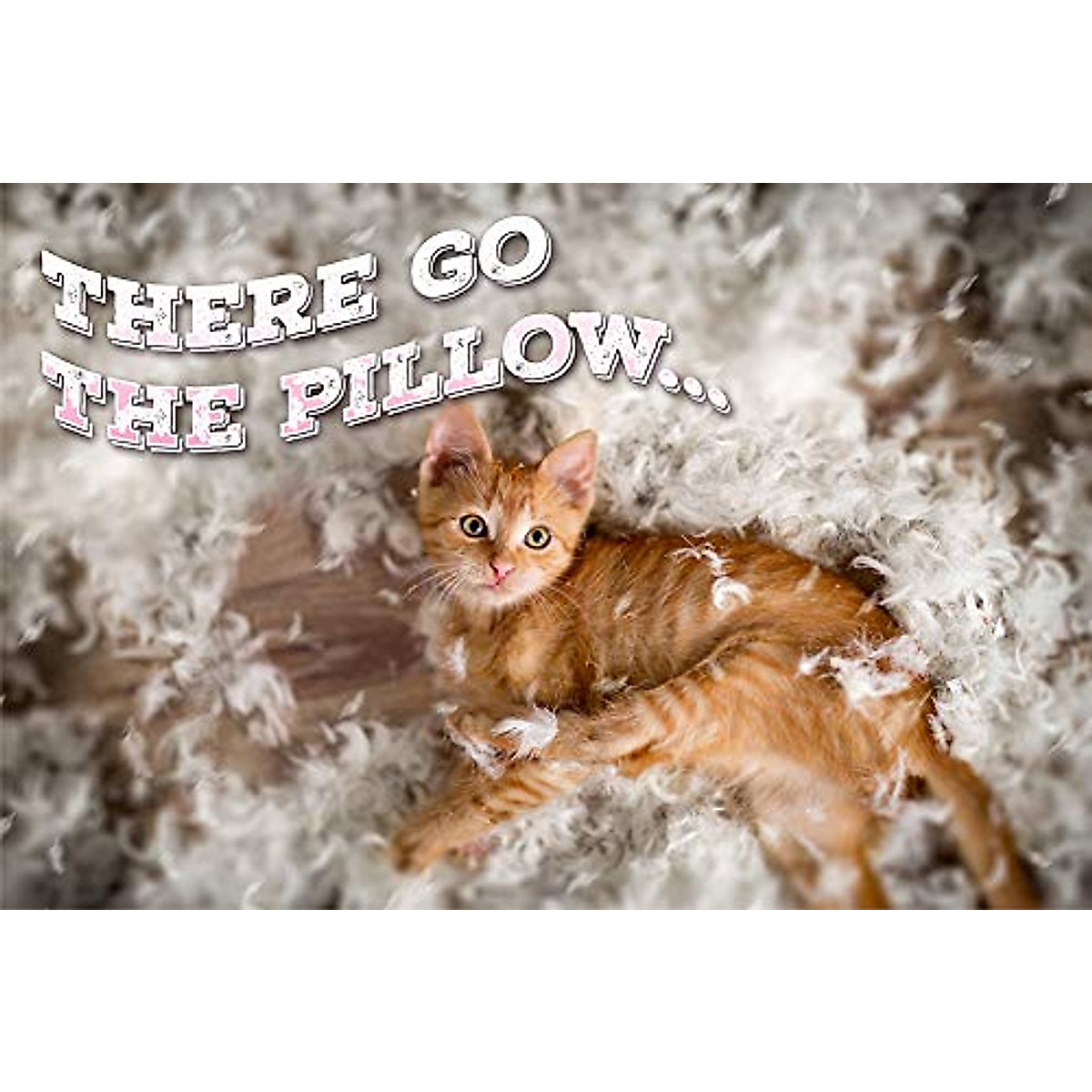 Pet MasterMind Claw Withdraw Cat Scratch Training Spray, Indoor Anti-Scratch - 4oz