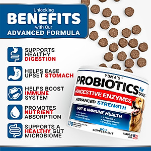 Probiotics for Dogs and Digestive Enzymes - 170 Dog Probiotics Chews - Dog Probiotic - Anti Diarrhea, Upset Stomach & Gas Relief, Canine Prebiotic - Pet Fiber Supplement - Beef Liver Flavor