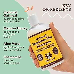 Natural [Dog] Company Oatmeal Sensitive Skin Shampoo, 12 oz., Dandruff Shampoo, Hypoallergenic, Plant Based Ingredients, Bathing Supplies, Itchy [Skin] relief for [Dog]s