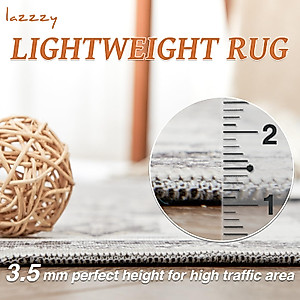 Lazzzy Area Rug 2x3 Entryway - Washable Rug Vintage Rug Floral Print Thin Rug Retro Accent Rug for Bathroom Kitchen Living Room Bedroom Grey