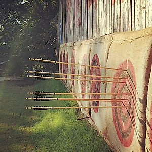 Huntingdoor 12 Pcs Turkey Feather Fletching Wooden Arrows Archery Target Arrows with Field Points for Recurve Bow or Longbow Targeting Practice Shooting (NATURE)