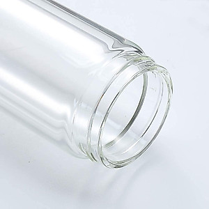 Little Bees Double Wall Glass Tea Bottle Portable Tea Tumbler with Infuser Leak-Proof Travel Mug 14oz Blue