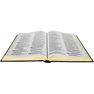 Bíblia Sagrada Almeida Revista e Atualizada: Almeida Revista e Atualizada (ARA)