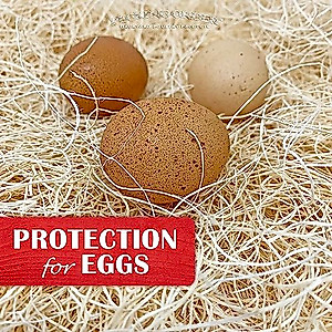 Pecking Order Nest Box Pads (10 Pack) - Made from Excelsior Wood Fibers