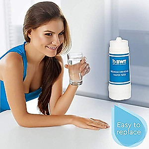 BWT PREMCART Premium Replacement Cartridge, White