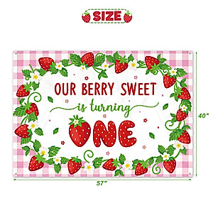 Vansolinne Strawberry First Birthday Decoration Berry First Birthday Party Set Balloons Backdrop Sweet One Party Supplies Photo Backdrop Banner Balloons Garland Decor Kit Party Decorations Supplies