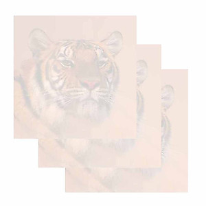 Tiger Face Sticky Notes - Set of 3 - Wildlife Animal Theme Design - Stationery Gift - Paper Memo Pad - Office and School Supplies
