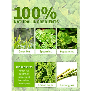 TeeLux Mint Iced Green Tea Bags, Green Tea with Peppermint, Spearmint, and Lemongrass, Family Size Refreshing Iced Tea, 30 Count