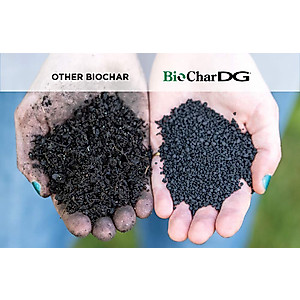 The Andersons BioChar DG Organic Soil Amendment - Covers up to 15,000 sq ft (30 lb)
