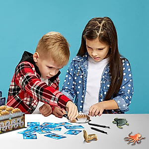 EARTH'SCODE Ocean Animals Dig Kit, Seashell Excavation Dig Bricks, Science Educational Gift for Kids