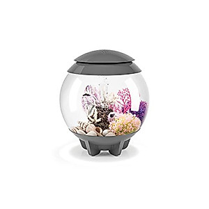 biOrb 46092.0 Sea Fan Small Pink Aquariums
