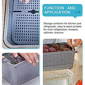 Cabilock Vegetable Fruit Storage Containers, Fresh Draining Basket, Box Refrigerator Crisper Fruit Fresh Containers Dual-Layer Food Storage Bin with Breathable Valve for Fridge, Dark Grey
