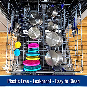 JaceBox Stainless Steel Snack Containers Set - Leakproof Lunch Containers for Lunchbox Blue & Green Turtle Silicone Lid PLASTIC FREE & BPA FREE - EASY to OPEN Flexible Unbreakable Lids! by JaceBox