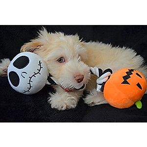 Disney Nightmare Before Christmas Pumpkin King Rope Tug Chew Dog Toy, Two Built-in Squeakers, Multi-Sensory Toy