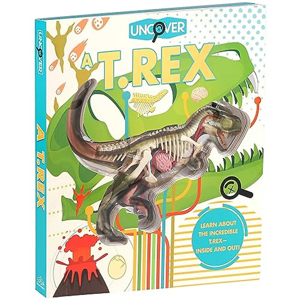 Uncover a T.Rex