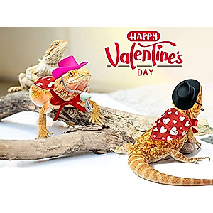 Vehomy 4Pcs Valentine's Day Bearded Dragon Outfit Bearded Dragon Cowboy Hat & Lizard Bandana Small Pet Love Heart Scarf Cowboy Costume Accessories for Lizard Hamster Leopard Gecko